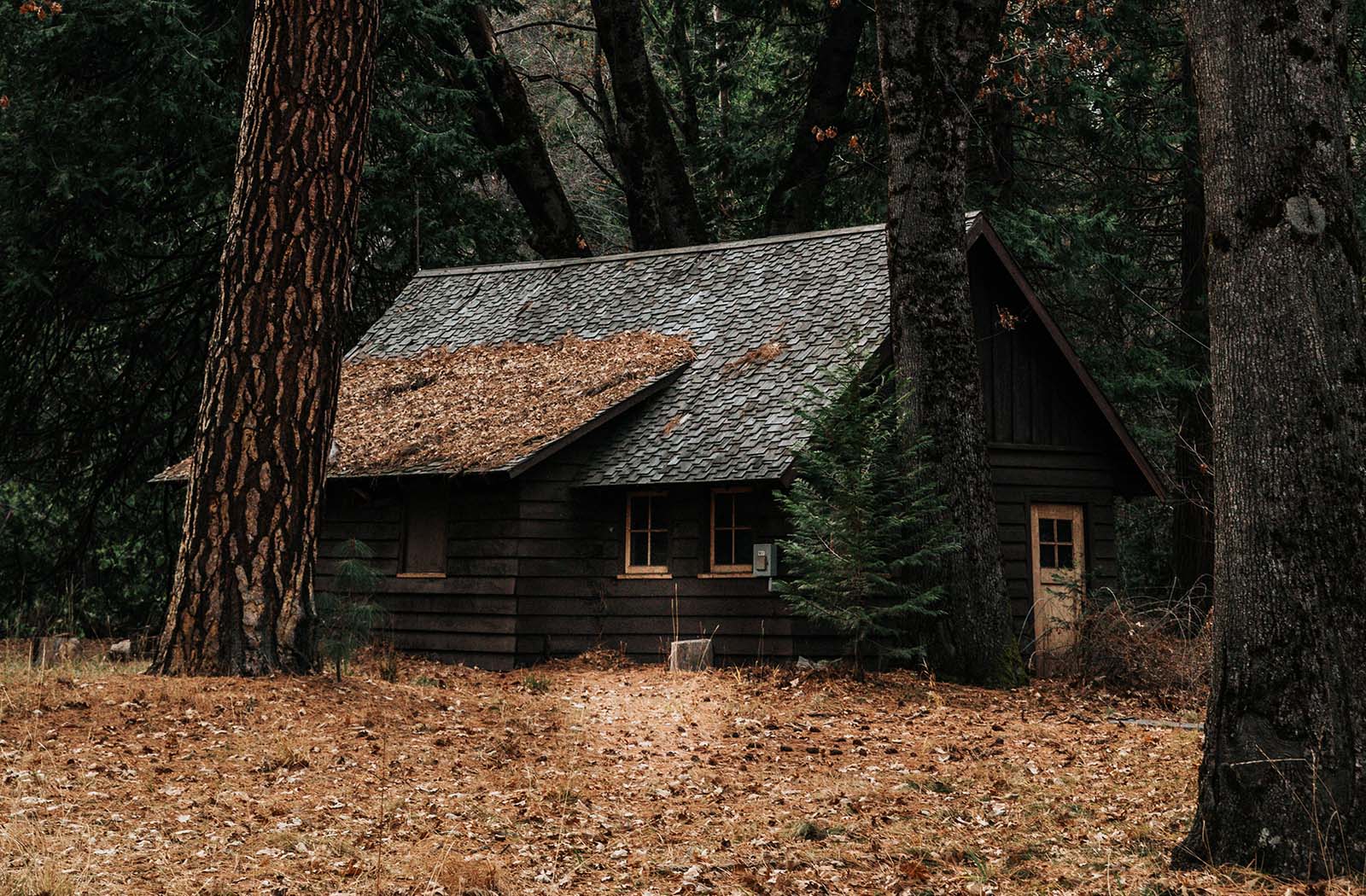 cedar cottage | Cedar Cottage Marketing